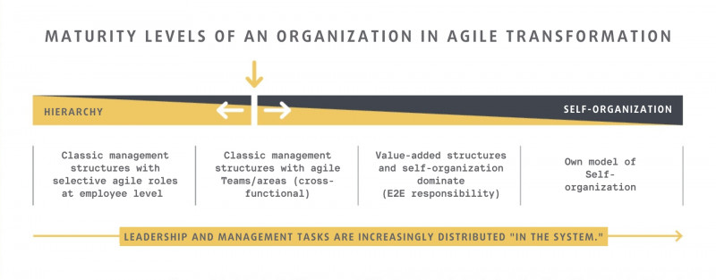 AGILE TRANSFORMATION - Lurse